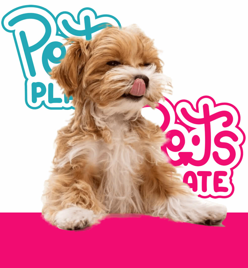 Productos - PETS PLATE